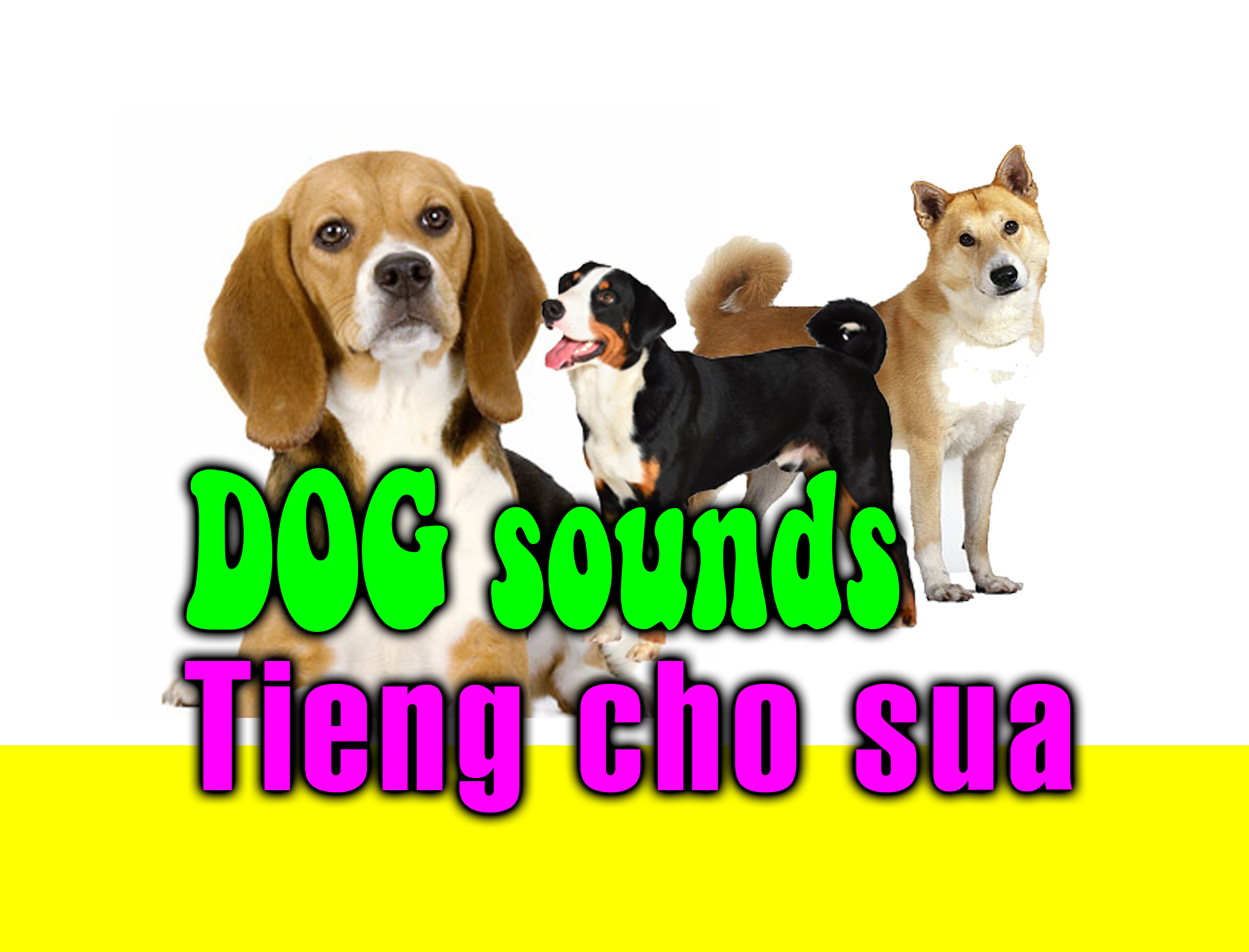 Tiếng chó sủa